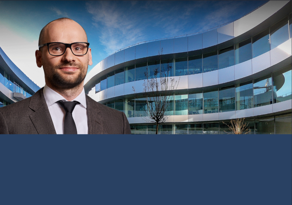 Martijn F. Boons, Nova SBE: What Drives the Volatility of Professional ...